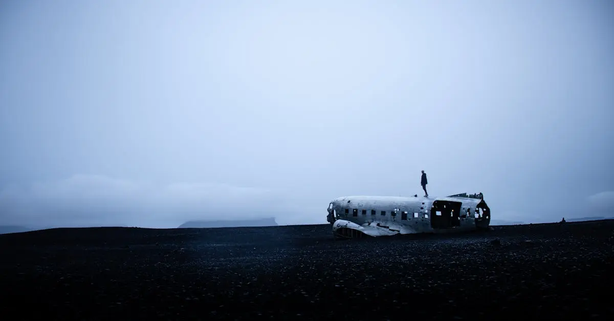 Quiz: Small Plane Crash - Quizzly.ai