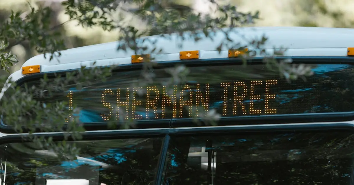 Quiz: Solid North bus schedule - Quizzly.ai