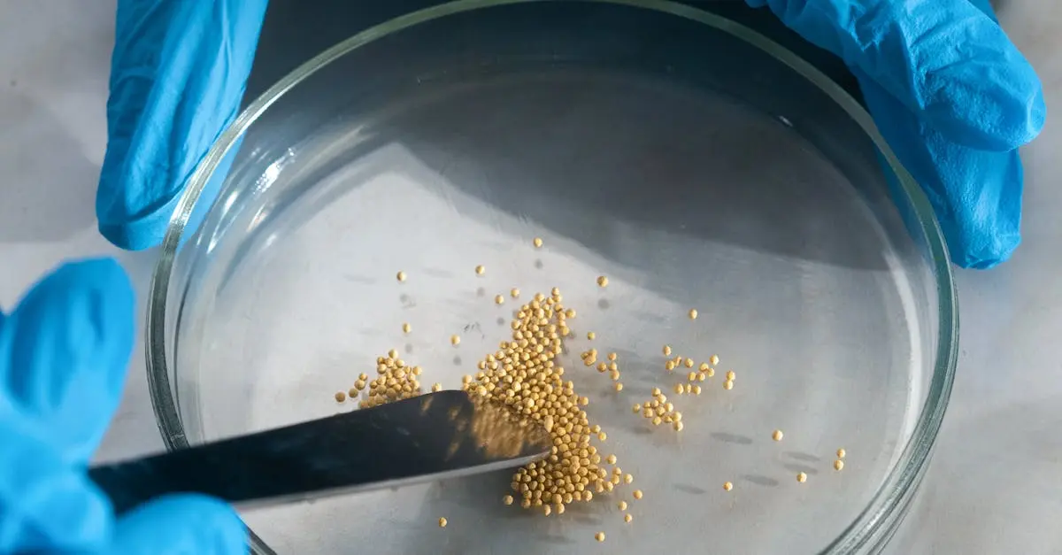 Quiz: Detailed Study of Transactional Net Margin Method - Quizzly.ai